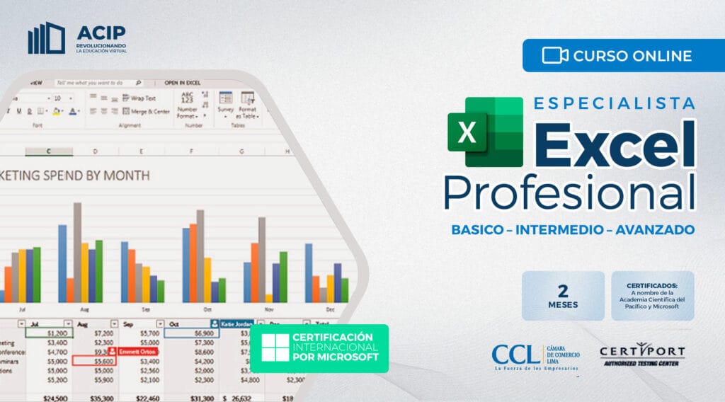 Excel Profesional – ACIP | Academia Cientifica del Pacífico